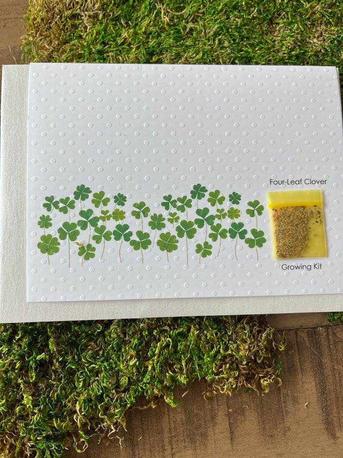 Happy Birthday - Four Leaf Clover – Garden Outside The Box