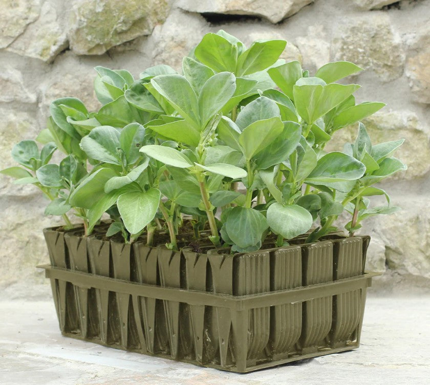 Deep Root Seed Starter Kit – Garden Outside The Box