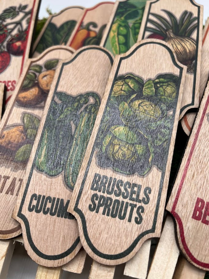 Wood VEGGIE Labels - Color - Garden Outside The Box