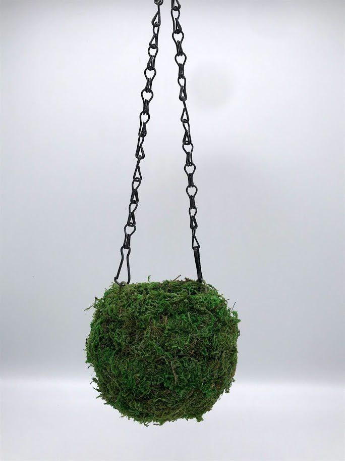 4" MOSS Hanging BALL Planter - Garden Outside The Box