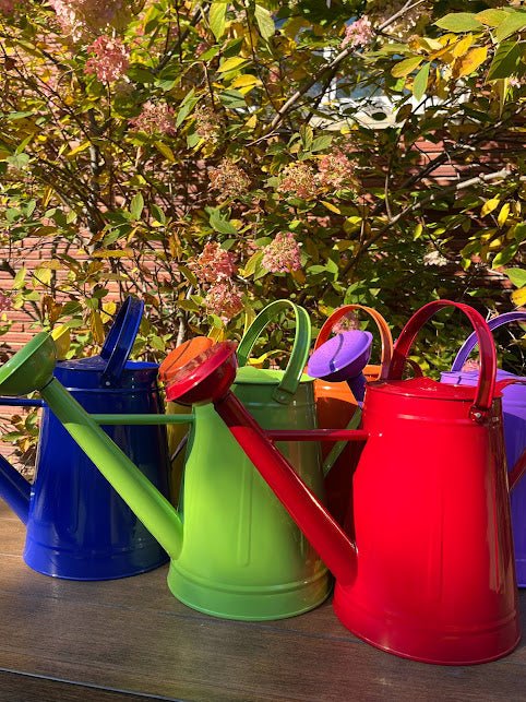 Large Watering Can - COLORS - Garden Outside The Box