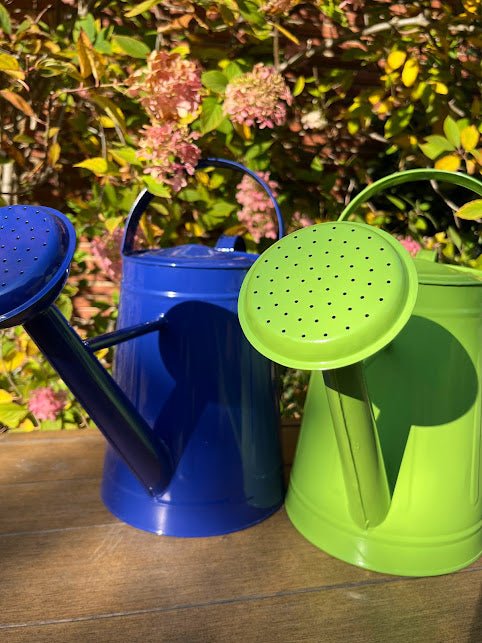 Large Watering Can - COLORS - Garden Outside The Box
