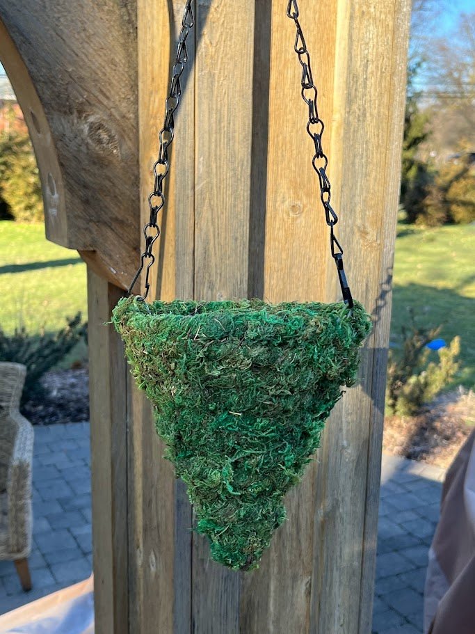 6" MOSS Hanging Basket - Circle Cone - Garden Outside The Box