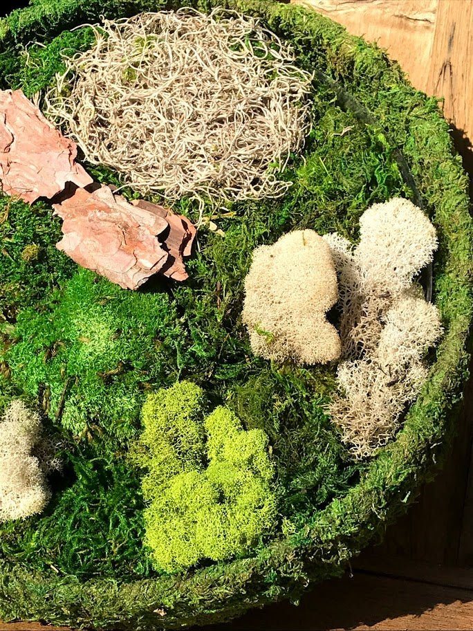 DIY Fairy Garden Preserved Moss Kit - Garden Outside The Box