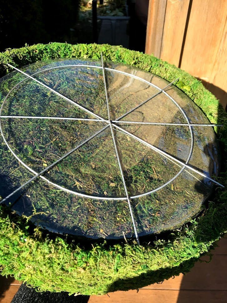 DIY Fairy Garden Preserved Moss Kit - Garden Outside The Box