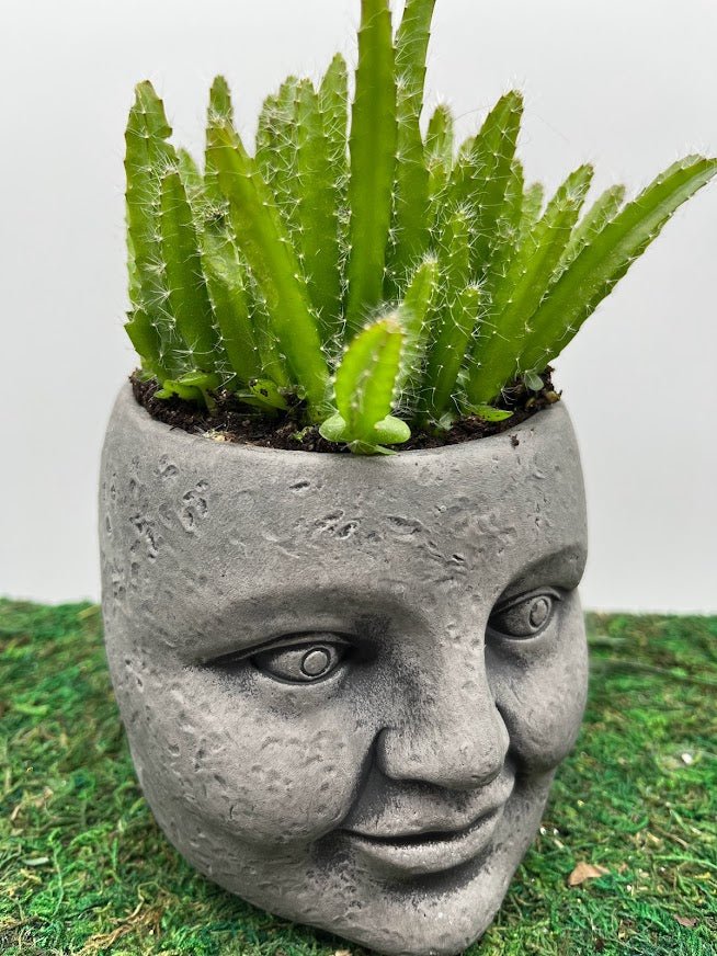 Whimsical "Face" Planter - Garden Outside The Box