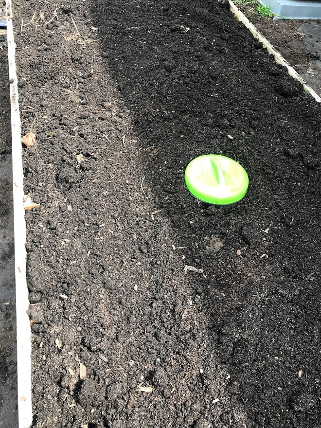In Ground Compost Bin Worm Buffet for Garden Beds - Garden Outside The Box