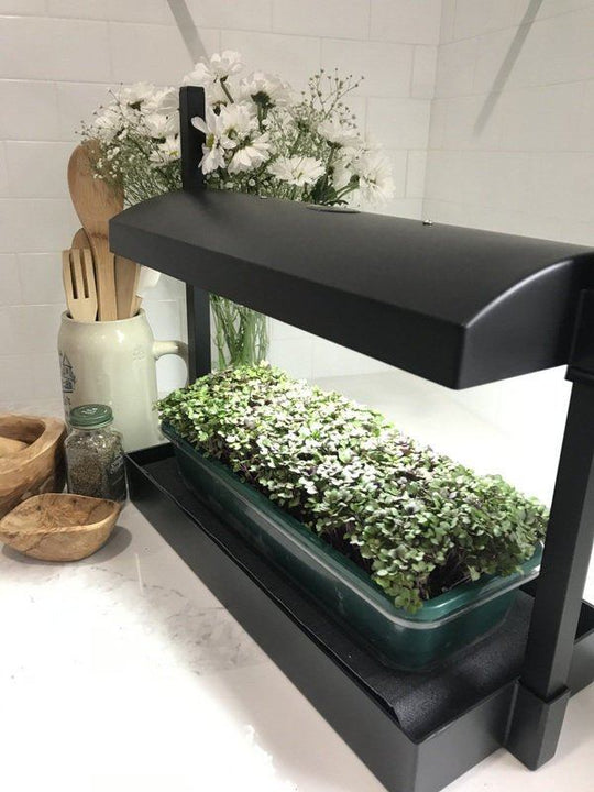 LED Microgreen Grow System - Everything you Need! - Garden Outside The Box