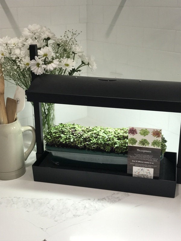 LED Microgreen Grow System - Everything you Need! - Garden Outside The Box