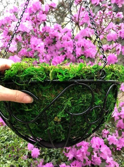 14" Metal and Coco Moss Hanging Basket - ROUND - Garden Outside The Box