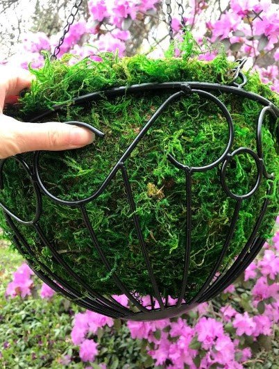 14" Metal and Coco Moss Hanging Basket - ROUND - Garden Outside The Box