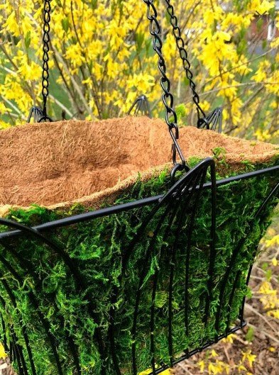 14" Metal and Coco Moss Hanging Basket - SQUARE - Garden Outside The Box