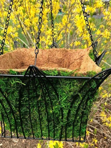 14" Metal and Coco Moss Hanging Basket - SQUARE - Garden Outside The Box