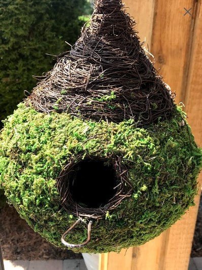 TEARDROP - Natural MOSS & Stick Birdhouse - Garden Outside The Box